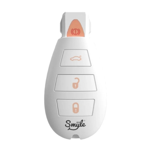 Car Key Vape Battery: Ultra-Stealth Penjamin 510